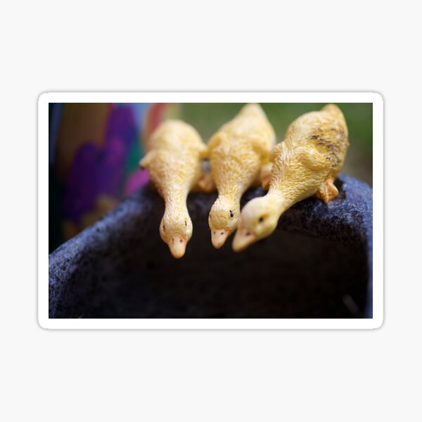 "Three Little Ducks Go Quack Quack Quack" Sticker for Sale by D-GaP ...