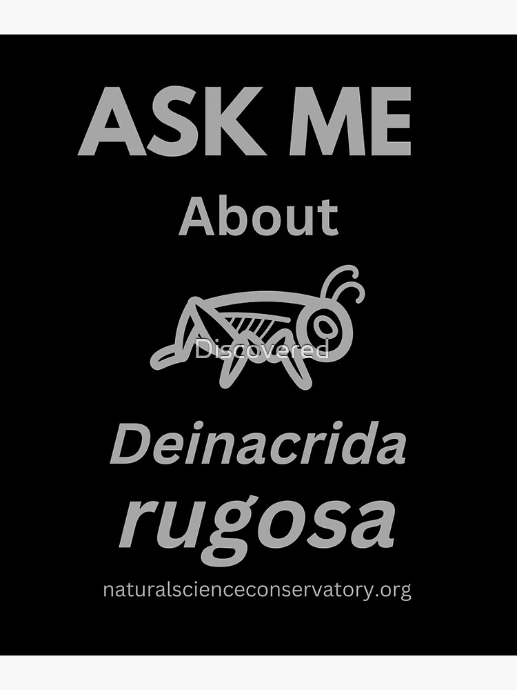 "Ask Me About Deinacrida rugosa (Cook Strait giant weta or Stephens ...