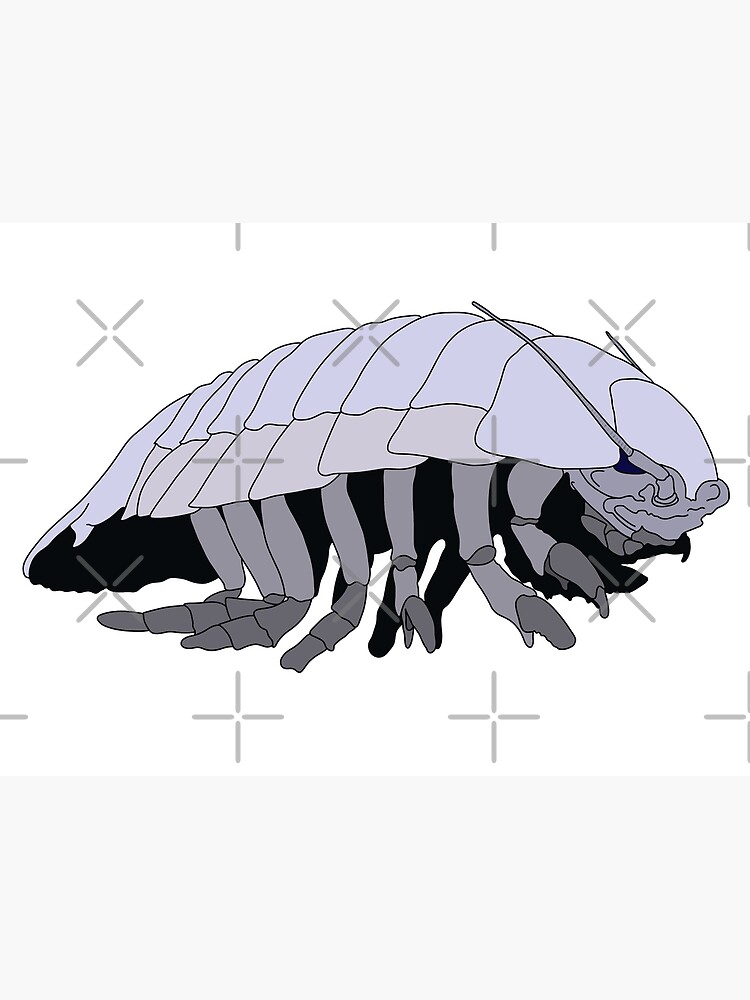 "Giant Isopod" Poster for Sale by Arose110 | Redbubble