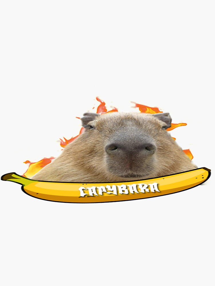 "CAPYBARA IS ON FIRE" Sticker for Sale by Alixidesign | Redbubble