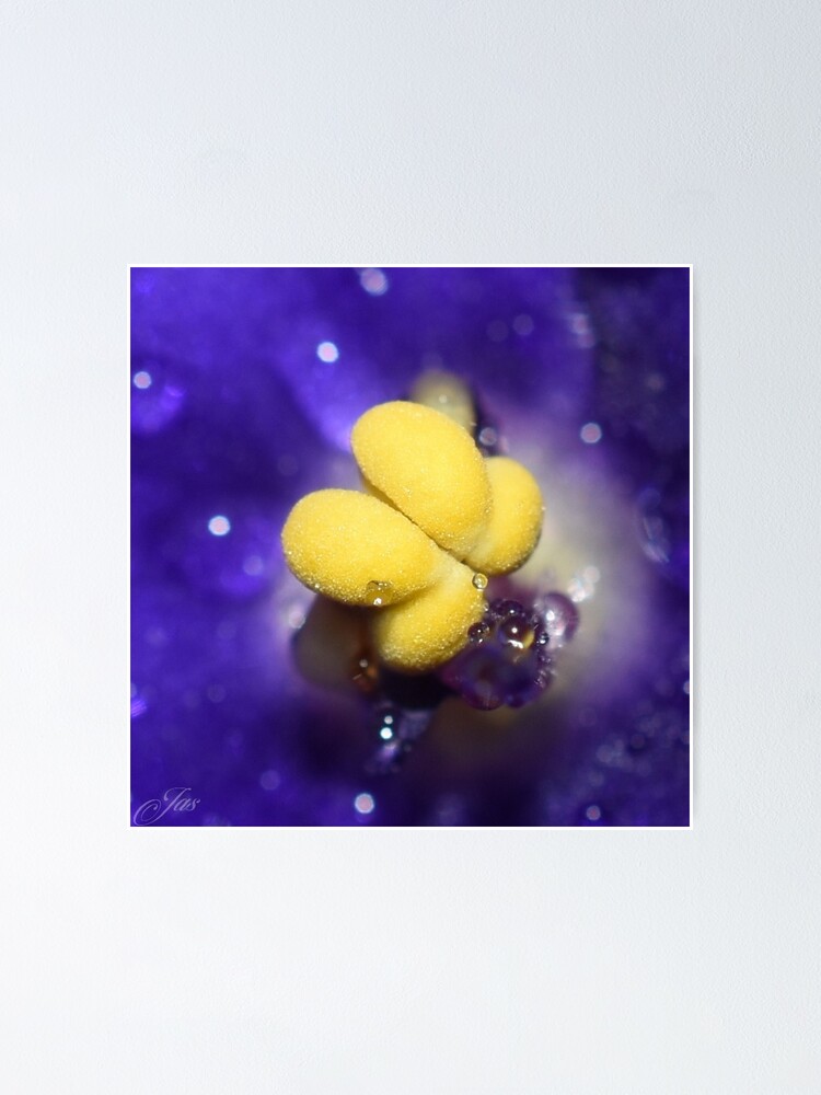 "Inside the Flower - Stigma" Poster for Sale by JasminaSusak | Redbubble