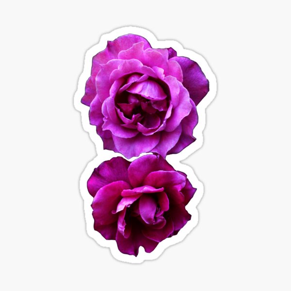 Aubrie Rodheim Shop | Redbubble