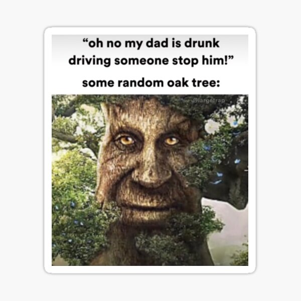 Oak Tree Memes Oak Tree Meme | TikTok