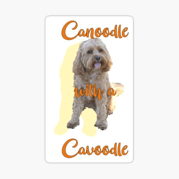 "Canoodle with a Cavoodle" Sticker by IanMcK | Redbubble