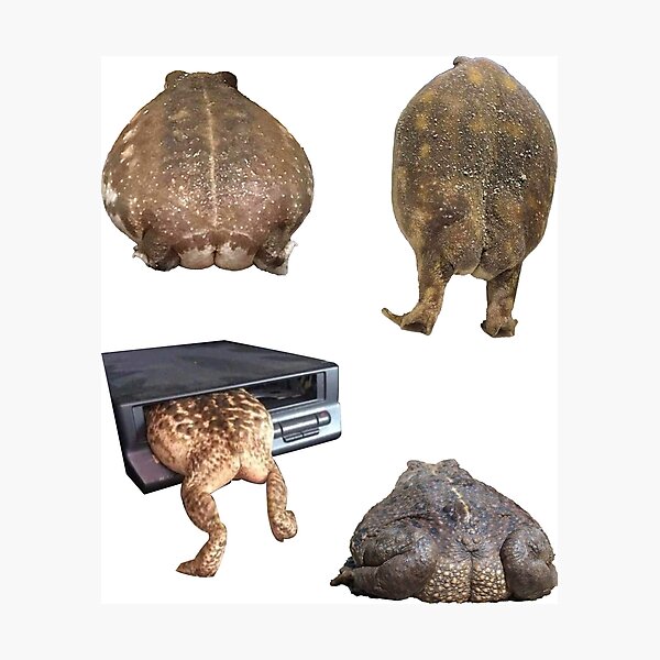 "Frog Butts Cursed Meme" Photographic Print for Sale by BetterLeo | Redbubble