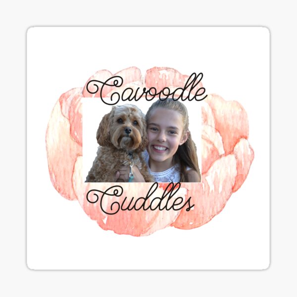 "Cavoodle Cuddles" Sticker by IanMcK | Redbubble