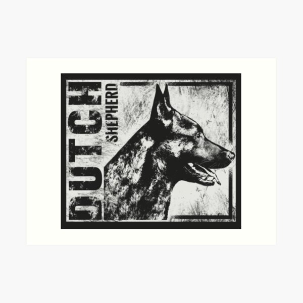 "Dutch Shepherd Dog" Art Print by k9printart | Redbubble