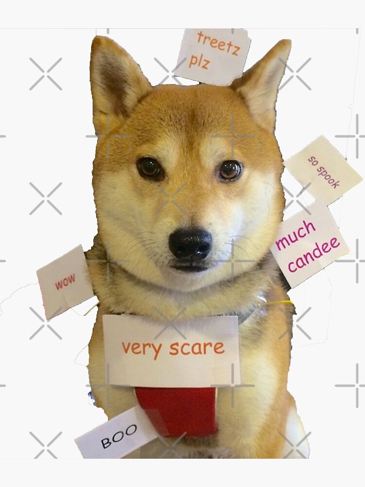 "Halloween Doge Meme | Angered witch doge halloween Gift iIdea ...