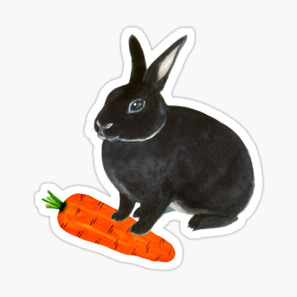 "Watercolor Black Rabbit" Sticker for Sale by virillanissa | Redbubble