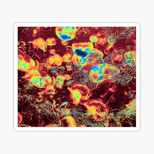 "Double Exposure Fish & Jellyfish Heatmap" Sticker for Sale by ...