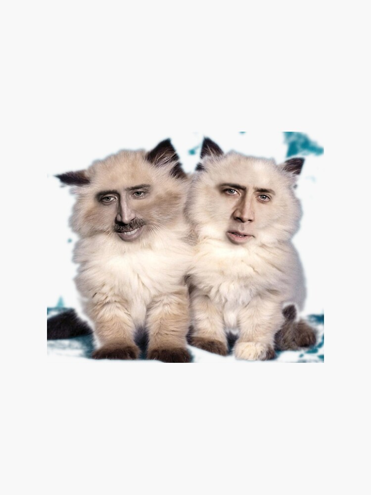 "Nic Cage Cat Nicolas Cage Cats Sticker" Sticker for Sale by ...