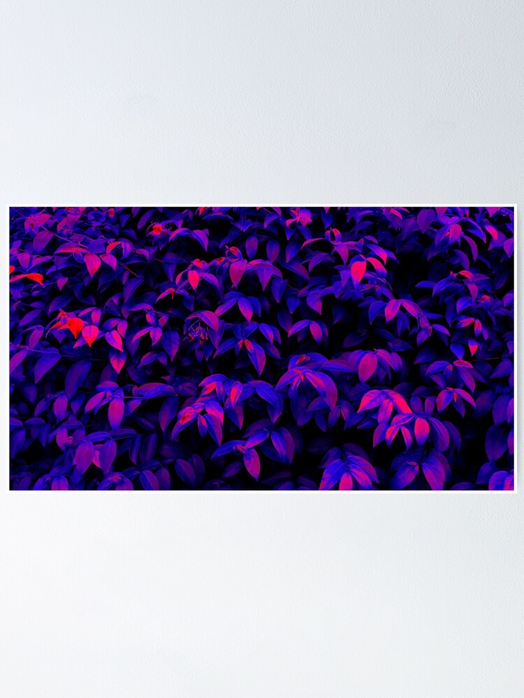 "Pink neon leaves" Poster for Sale by Zip-Zup | Redbubble