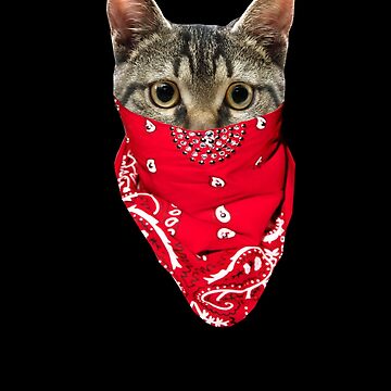 "Gangsta Cat - Cat" Art Board Print by Highxman | Redbubble