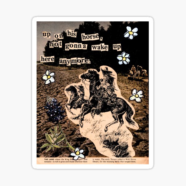 "The Strokes Ode to the Mets Cowboy Texas Collage The New Abnormal ...