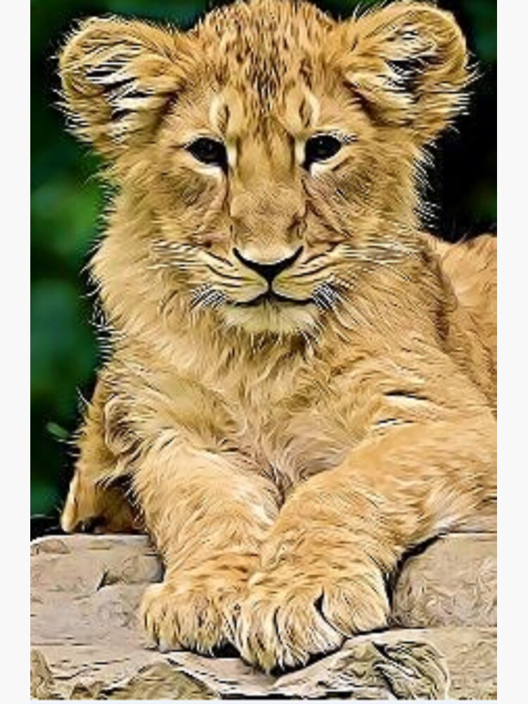 "Lion cub" Sticker for Sale by Sneshka | Redbubble