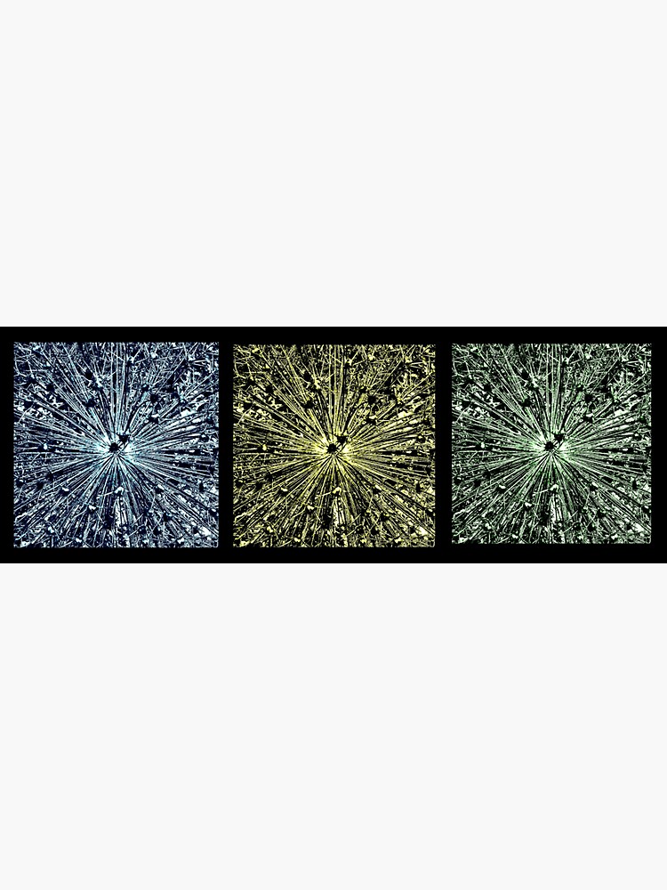"Patterns of Nature Tryptic" Sticker for Sale by wumplekin | Redbubble