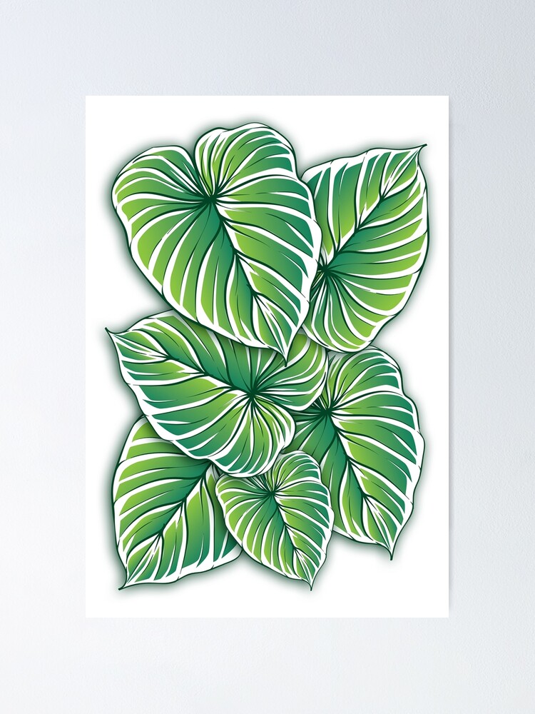 Prints Wall Hangings Big Green Leaf Poster Home Décor etna.com.pe