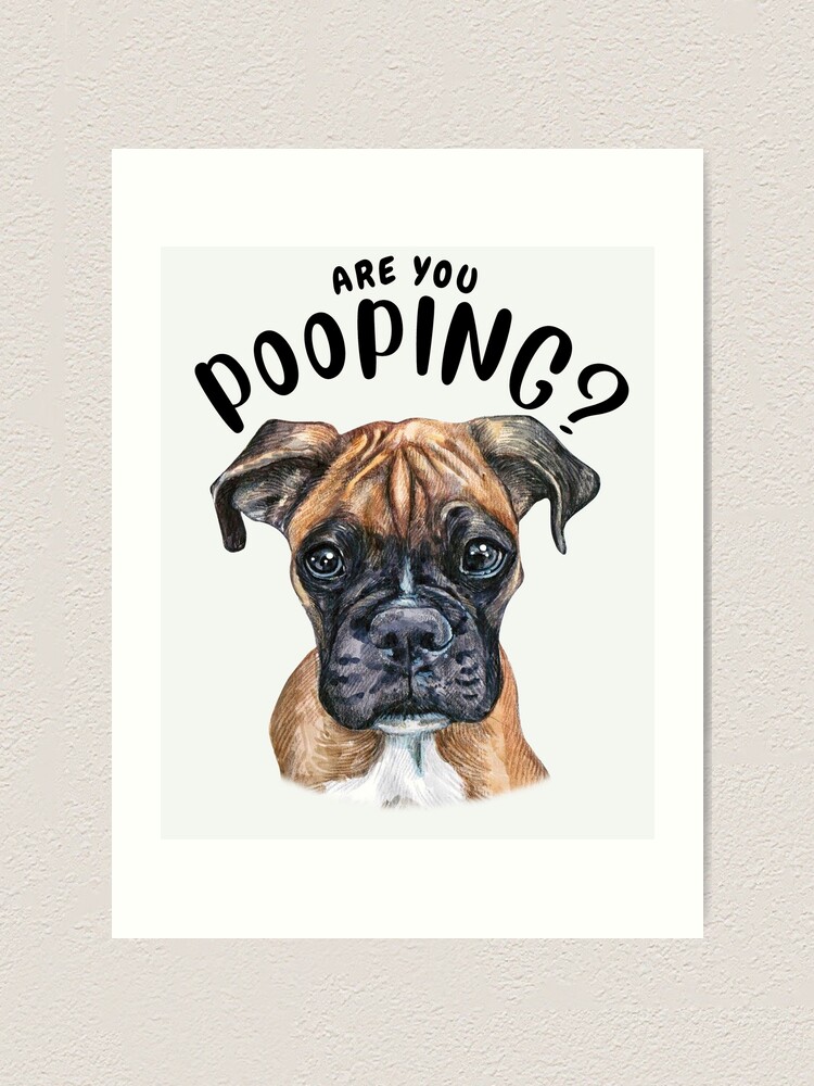 "Are You Pooping Bathroom Print | Boxer Dog | Boxer Watercolor Print ...