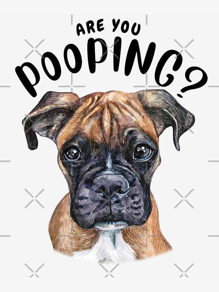 "Are You Pooping Bathroom Print | Boxer Dog | Boxer Watercolor Print ...