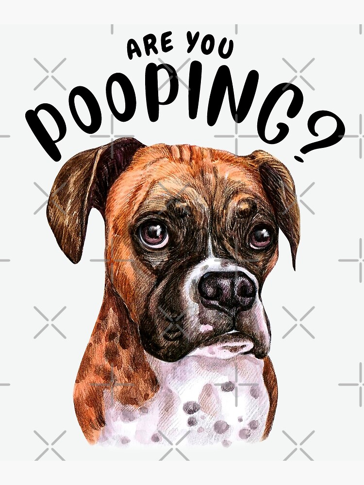 "Are You Pooping Bathroom Print | Boxer Dog | Boxer Watercolor Print ...