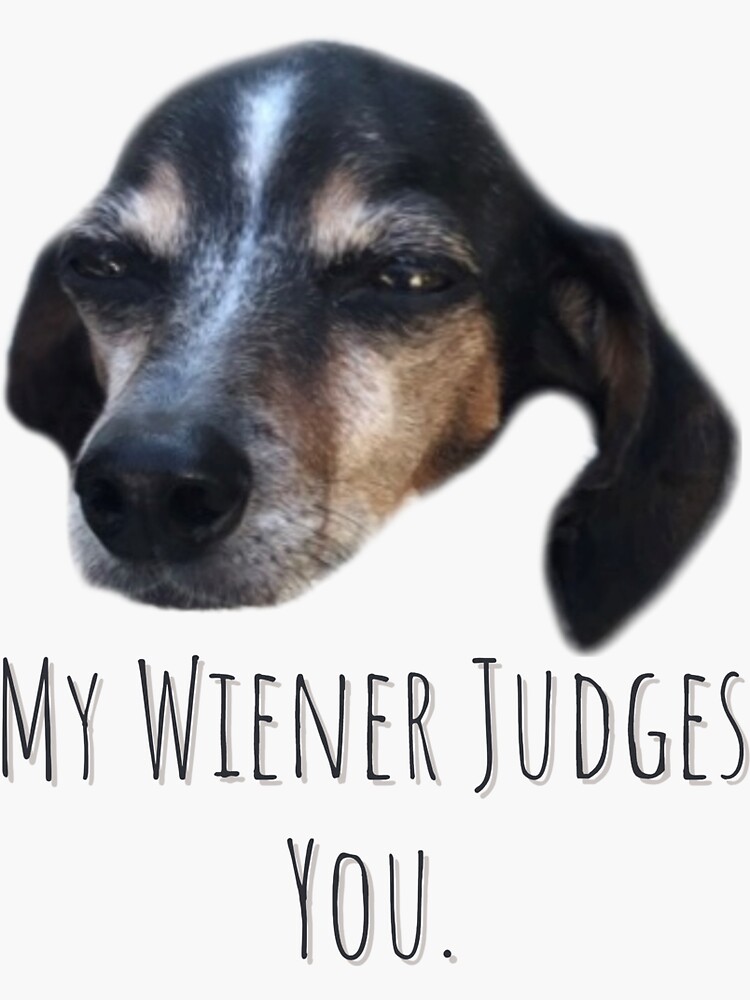 "My Wiener Judges You." Sticker for Sale by katiek-franklin | Redbubble