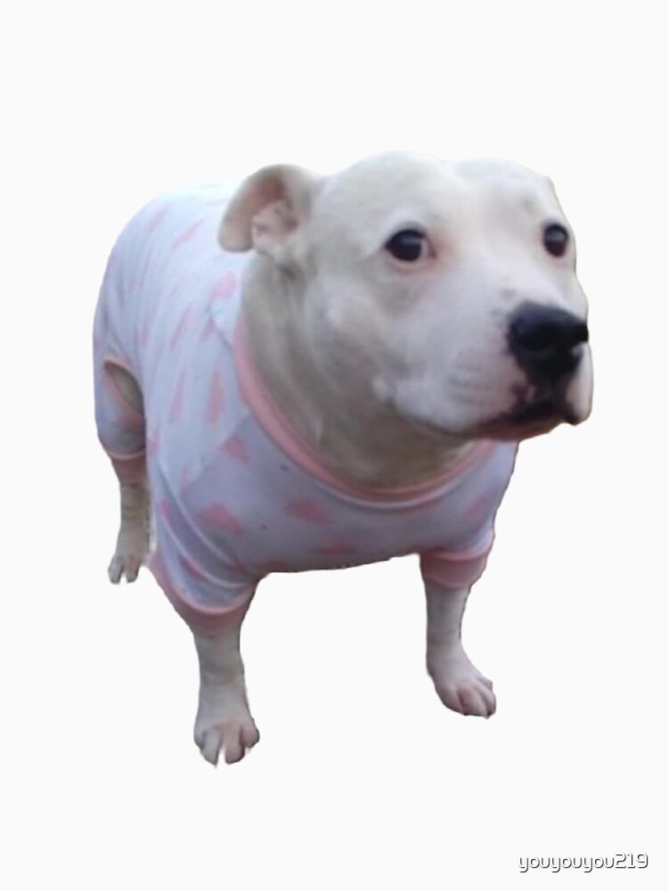 "its cold out imma wear ma jamas" Essential T-Shirt for Sale by ...