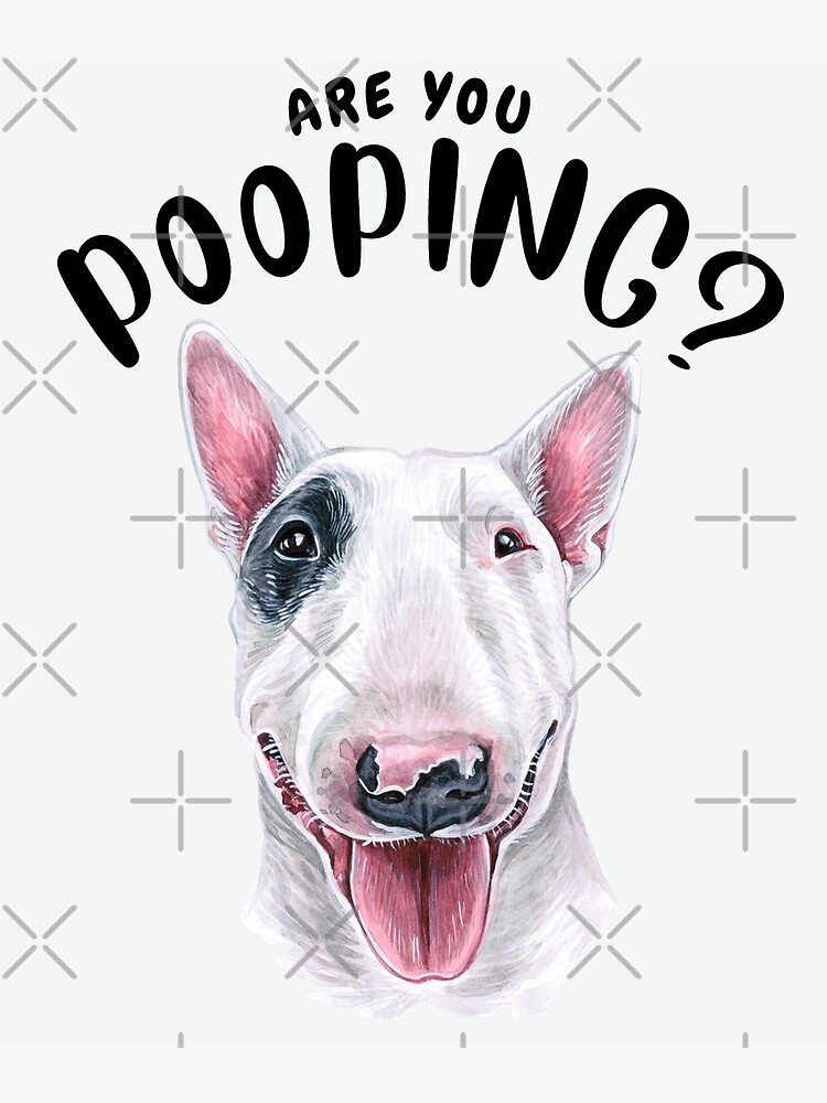Póster «¿Estás haciendo caca en el baño? Perro Bull Terrier | Impresión ...