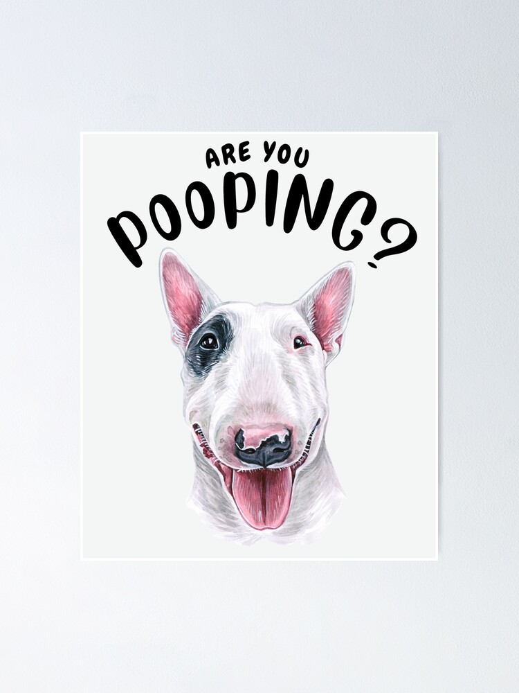 Póster «¿Estás haciendo caca en el baño? Perro Bull Terrier | Impresión ...
