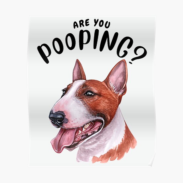 Póster «¿Estás haciendo caca en el baño? Perro Bull Terrier | Impresión ...