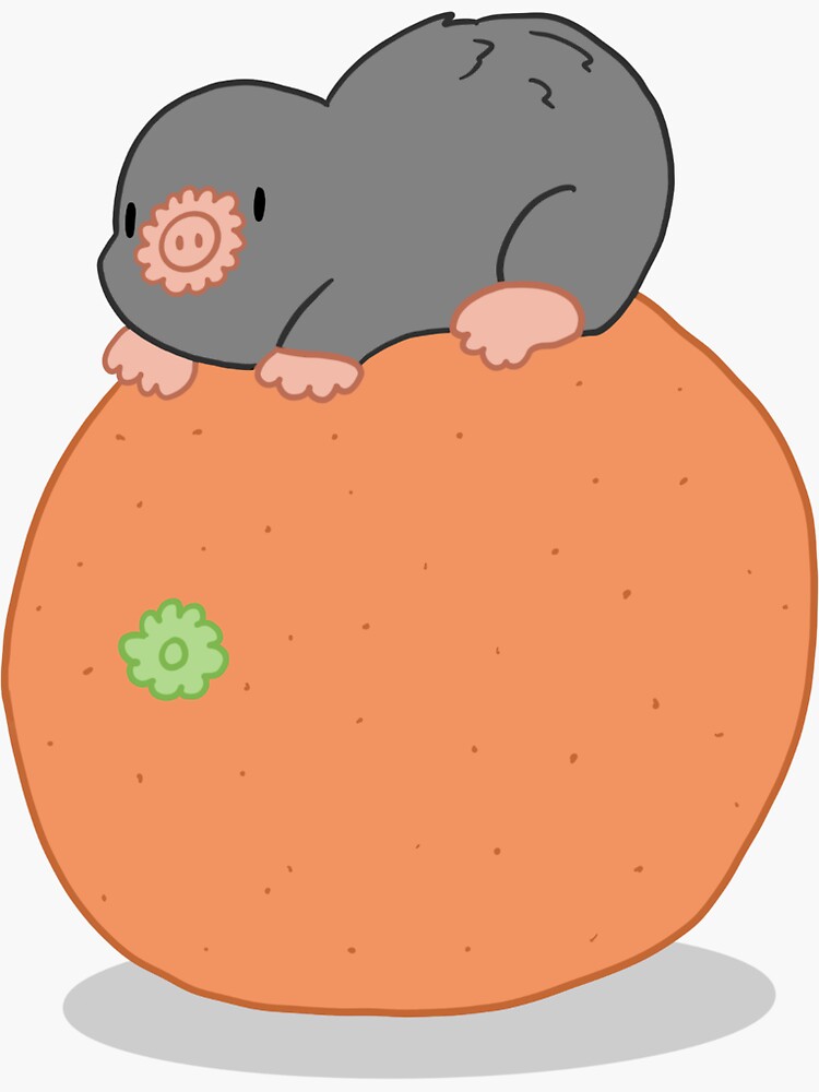 "Small mole on a orange" Sticker for Sale by tabbycat07 | Redbubble