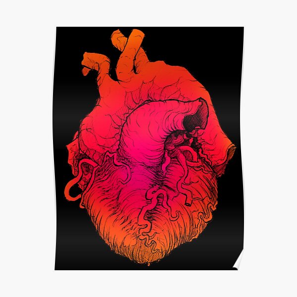 "Anatomical Heart - Red" Poster for Sale by Anachronatomy | Redbubble