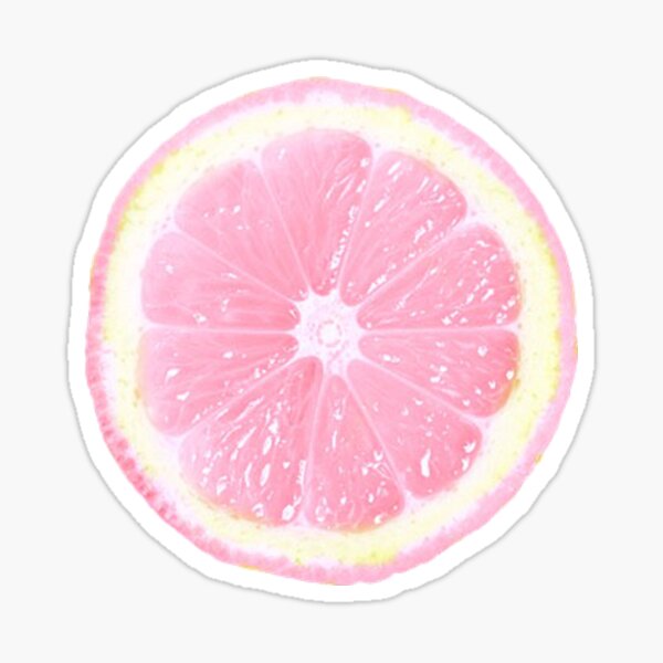 "Pink Grape Fruit " Sticker for Sale by LiloKarl | Redbubble