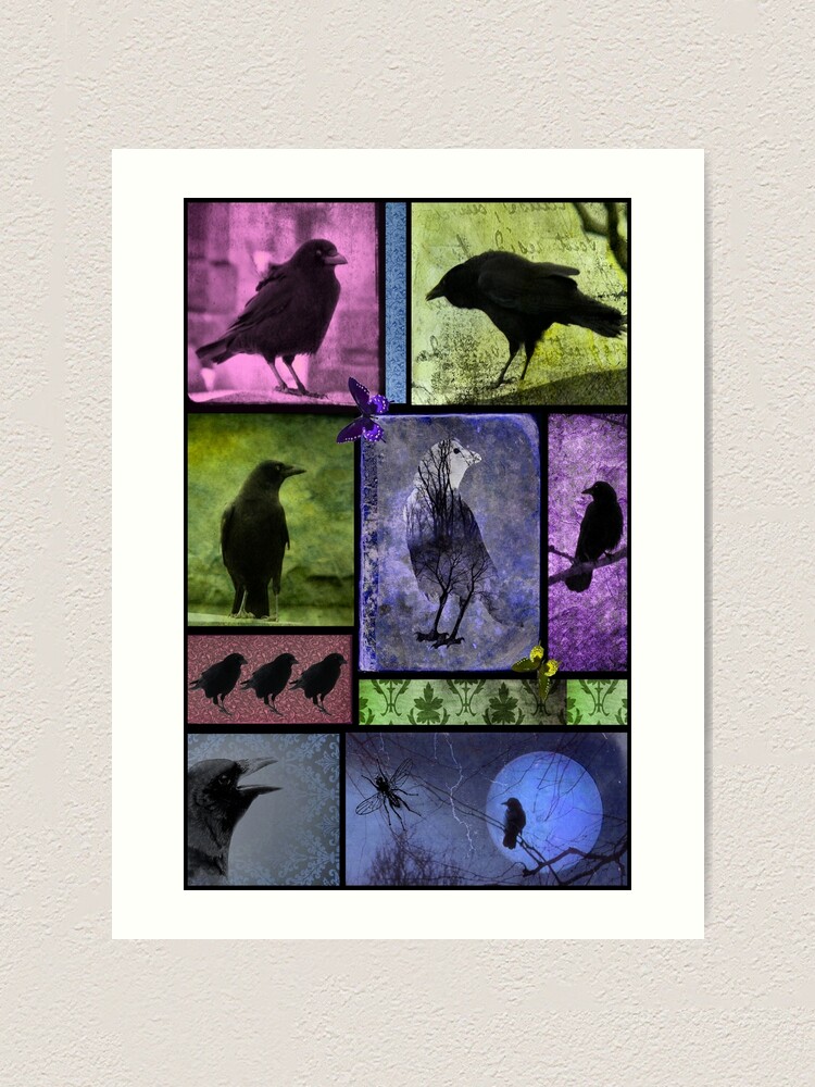 "Colorful Crows Collage" Art Print for Sale by gothicolors | Redbubble