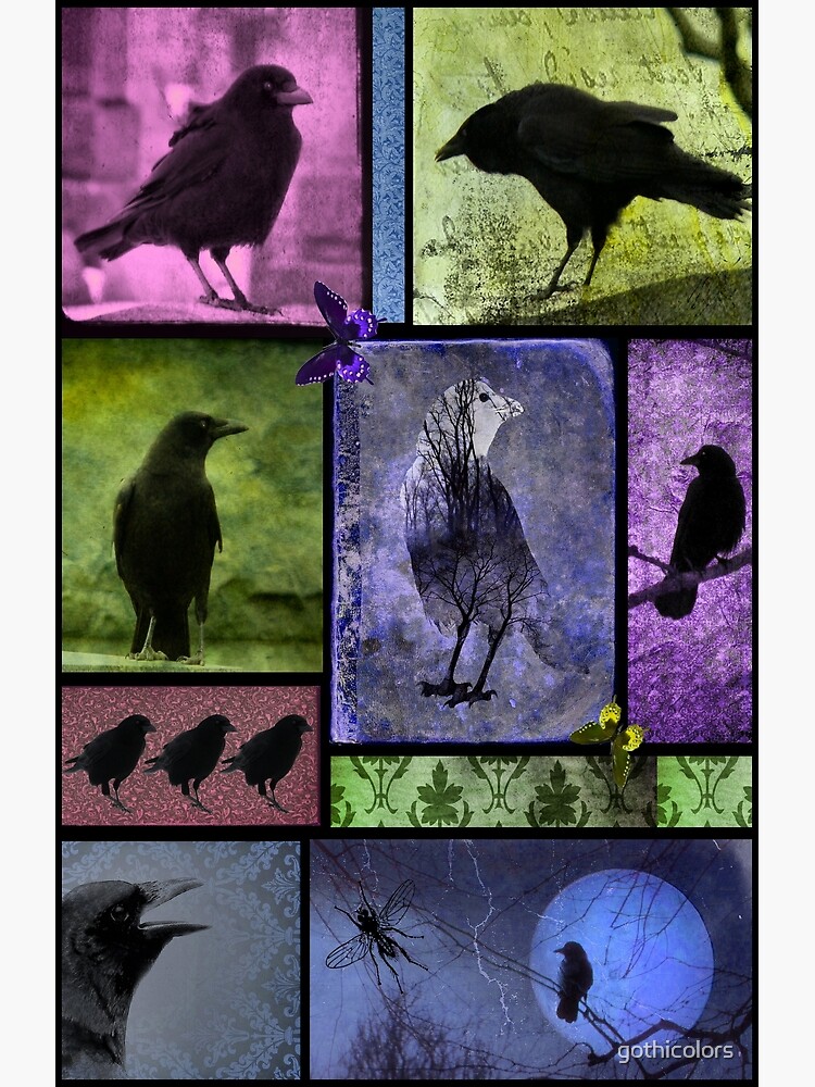 "Colorful Crows Collage" Poster for Sale by gothicolors | Redbubble