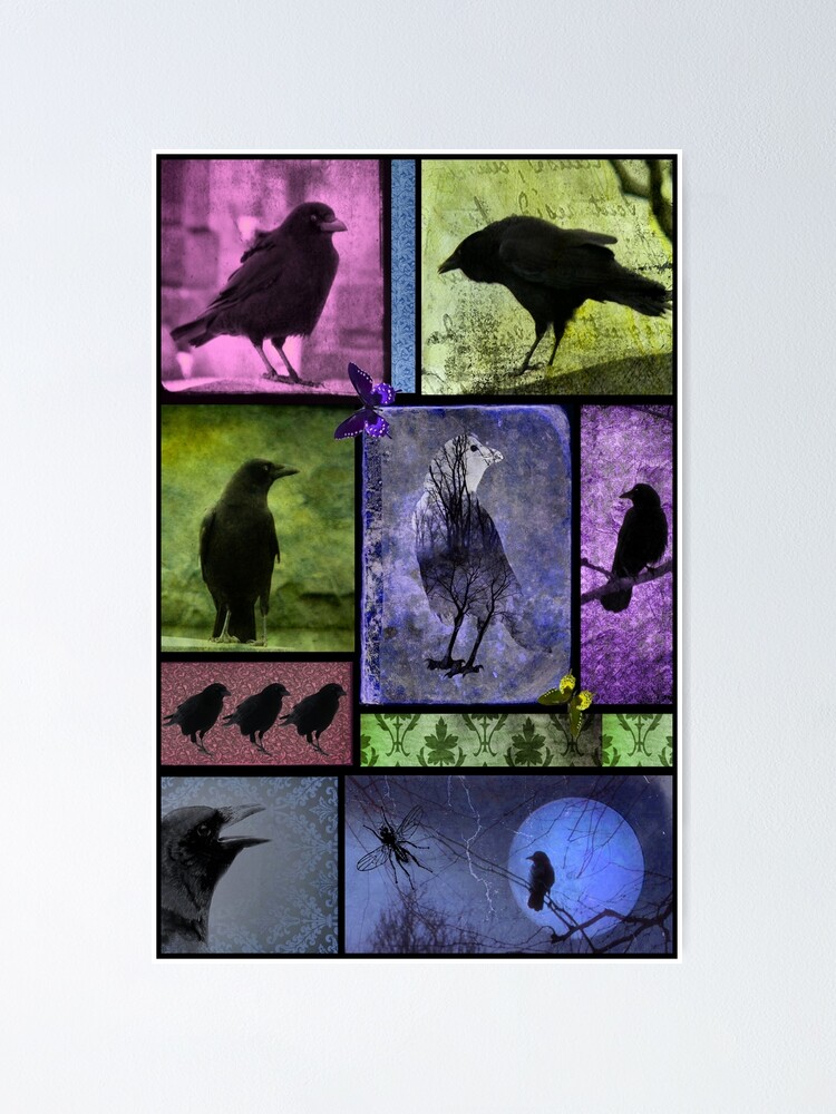 Póster «Collage de cuervos de colores» de gothicolors | Redbubble