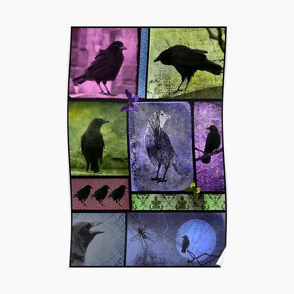 "Colorful Crows Collage" Poster for Sale by gothicolors | Redbubble