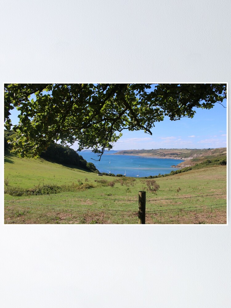 "Devon Scene" Poster for Sale by nicolamorgan | Redbubble