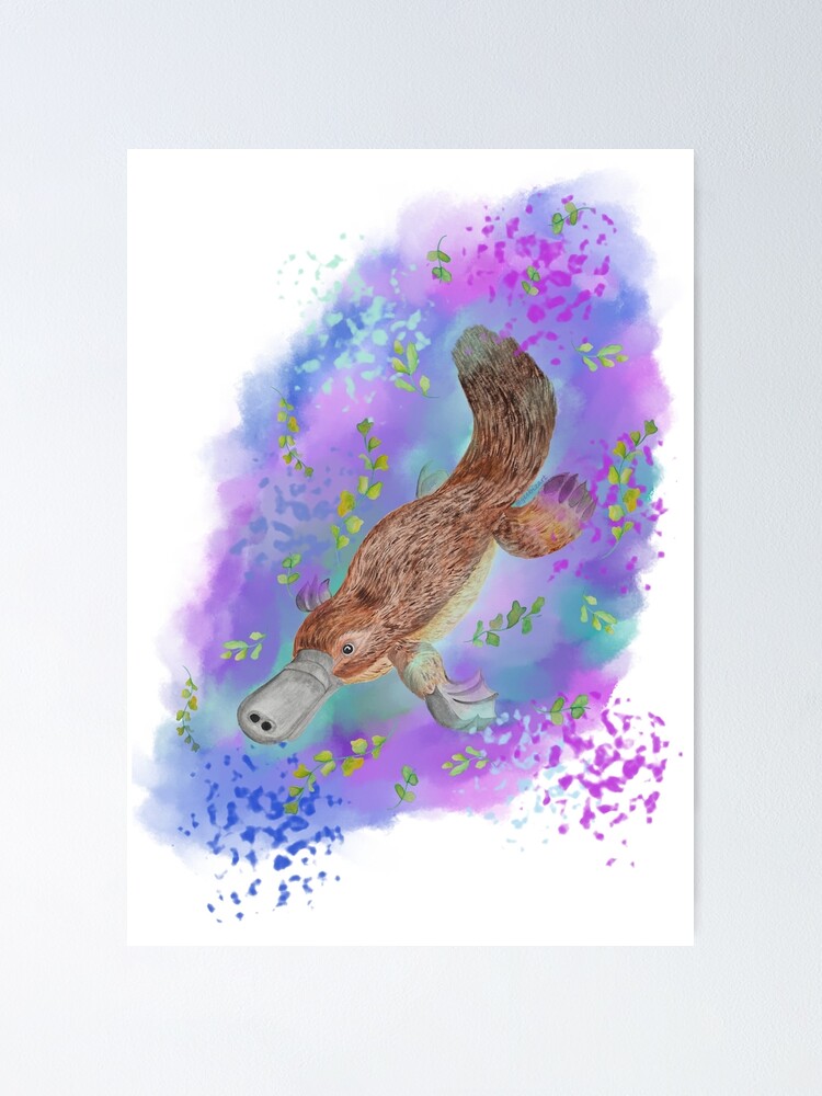 "'Pippa the platypus'" Poster for Sale by Geebizart | Redbubble