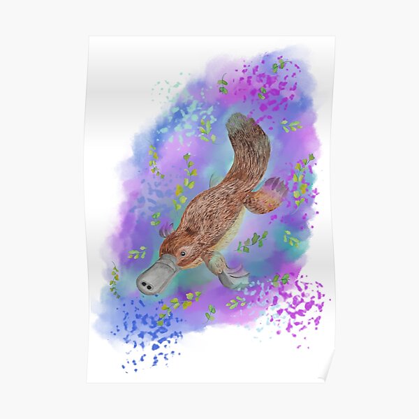 "'Pippa the platypus'" Poster for Sale by Geebizart | Redbubble