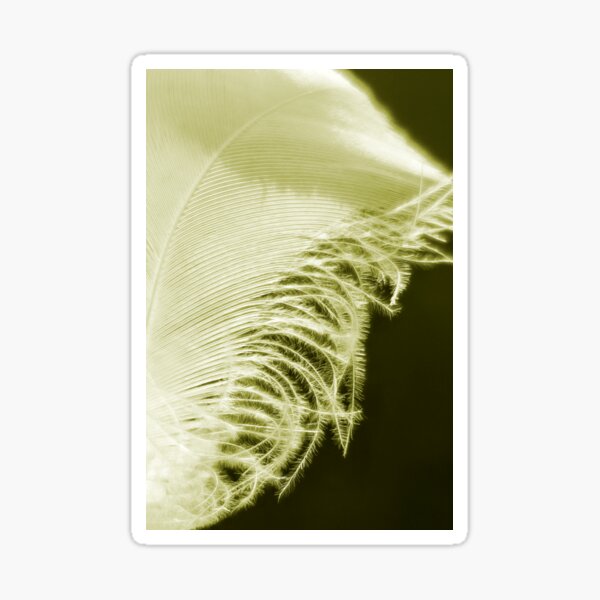 "Intuitive Feeling #1 - Dove Feather" Sticker for Sale by AHA-nature ...