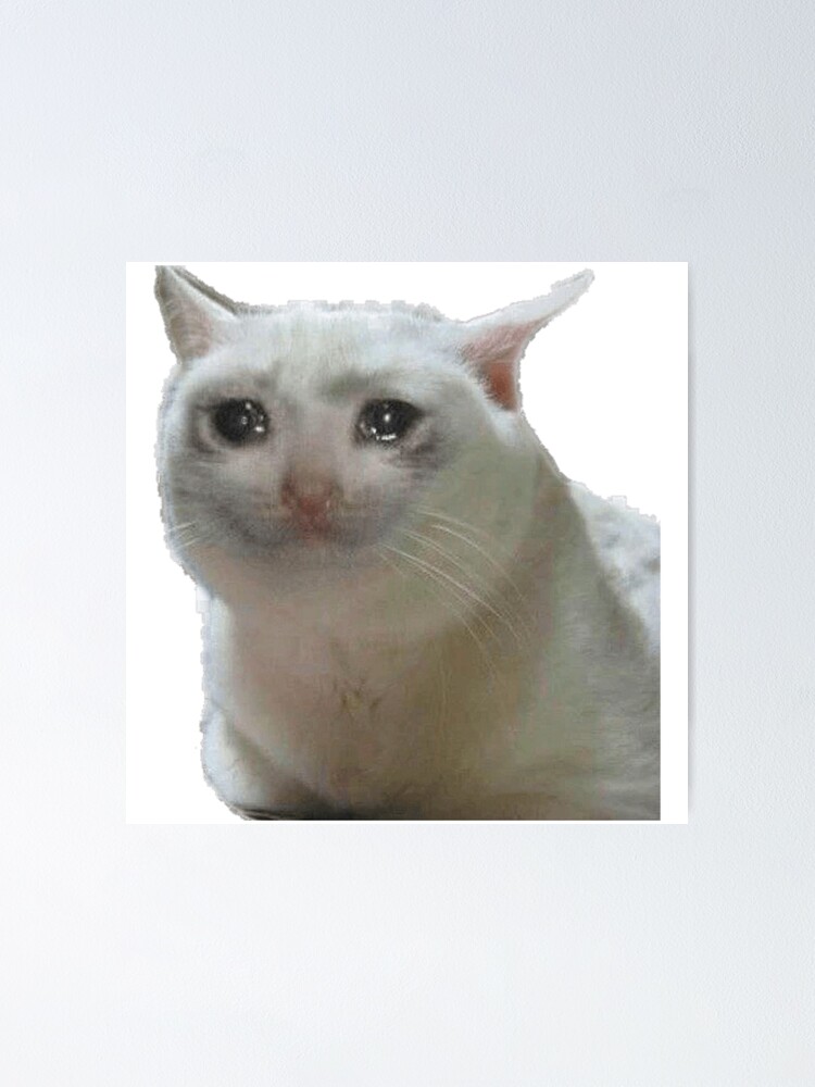 "Crying Cat" Poster for Sale by the-al-foil | Redbubble