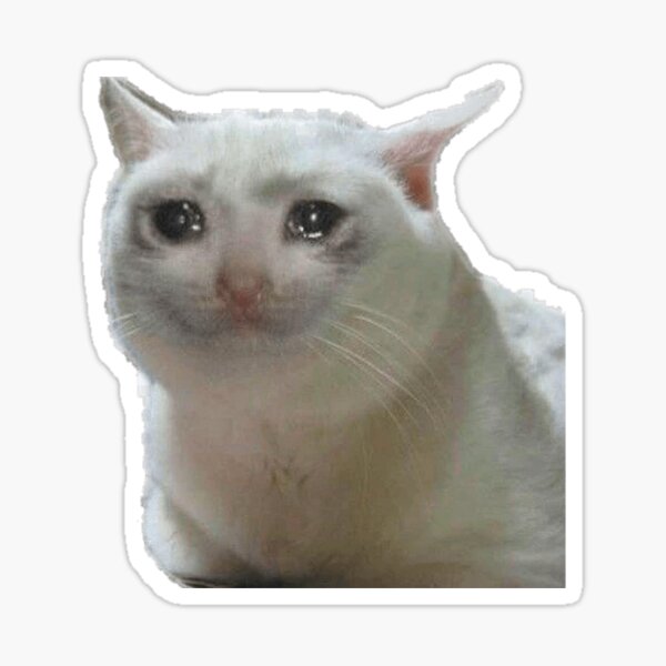 "Crying Cat" Sticker for Sale by the-al-foil | Redbubble