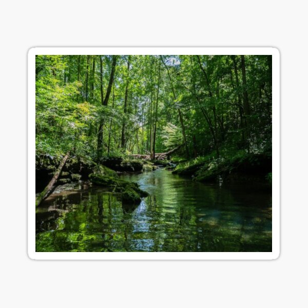 "Beautiful green landscape with green trees and river art" Sticker for ...