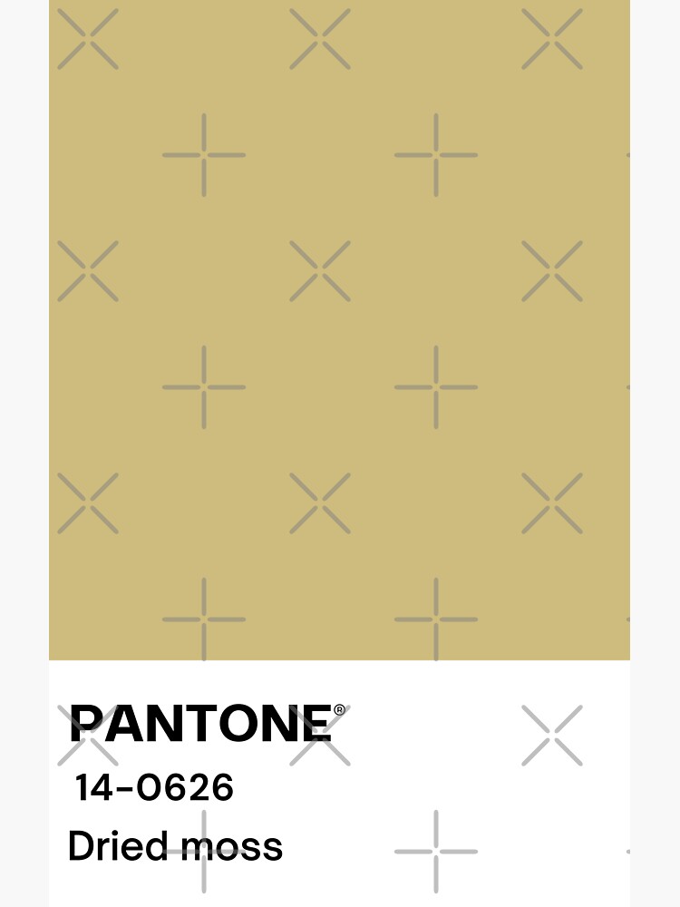 "Pantone-Dried Moss" Sticker for Sale by DesignNomadSE | Redbubble