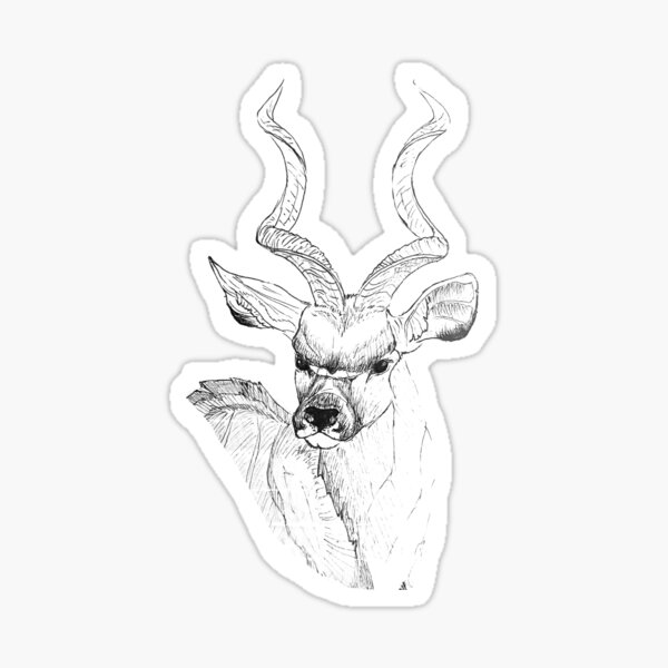 "Greater Kudu" Sticker for Sale by lilytomkinson | Redbubble