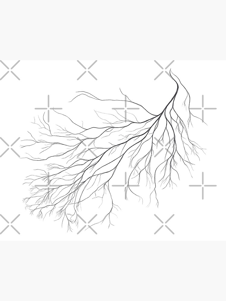 "Mycelium (pencil drawing)" Photographic Print for Sale by Lumot ...