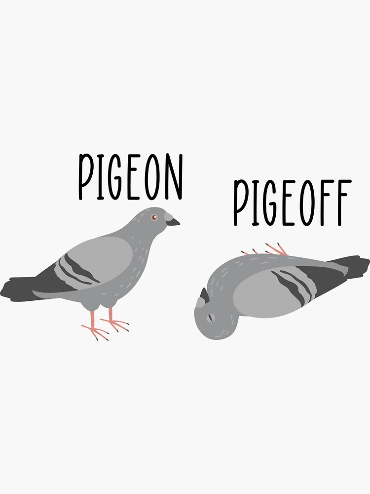 "Pigeon Pigeoff - Bird Birdwatcher Birdwatching Pigeon Racing" Sticker ...
