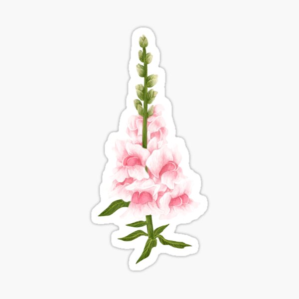 "Vintage Snapdragons flowers" Sticker for Sale by LamrisoShop | Redbubble