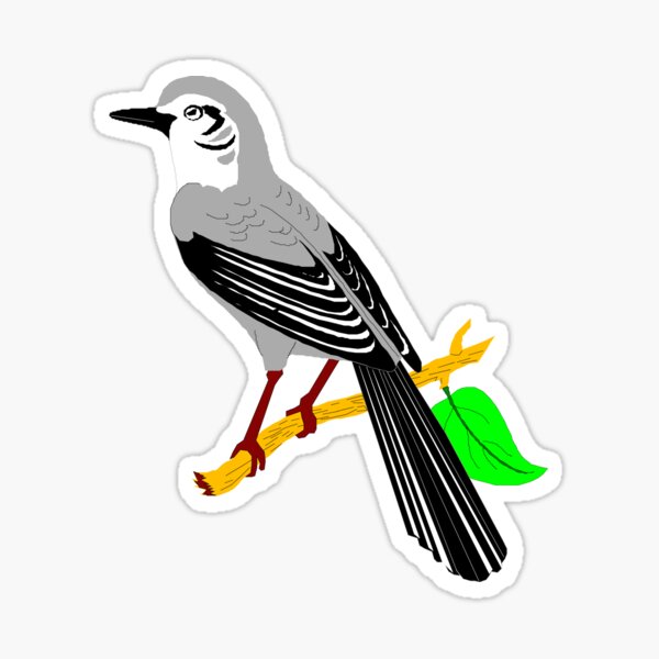 "Coco Bird" Sticker for Sale by Sharafat949 | Redbubble