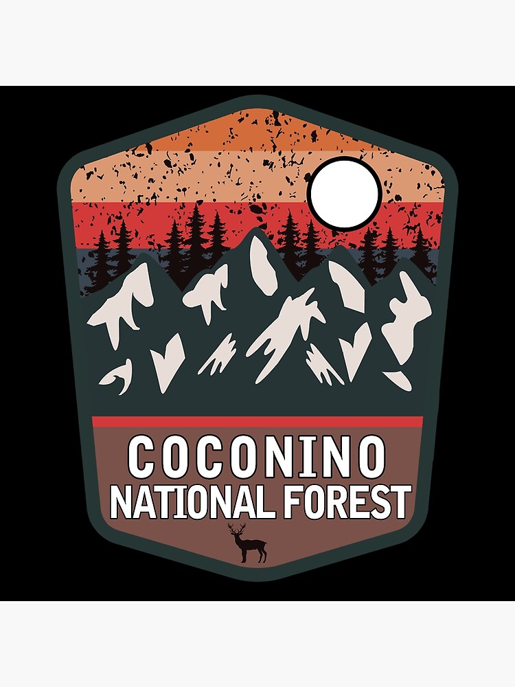 "Coconino national forest" Poster for Sale by Cool-Craze | Redbubble